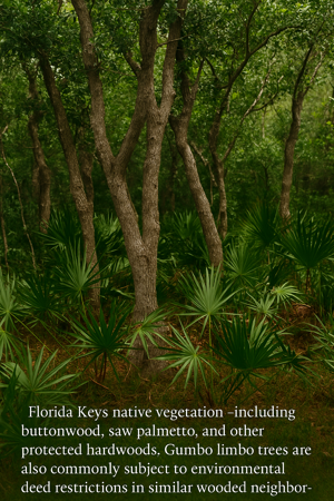 Conservation Easements in the Florida Keys: What Buyers Should Know