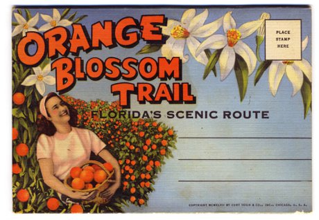 Mazda Orange Blossom Trail Orlandonull