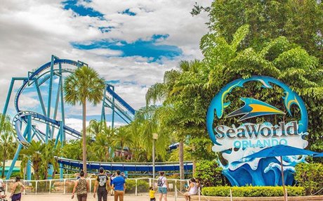 SeaWorld Orlando: Marine Adventures Just a Short Drive from Lake Nona