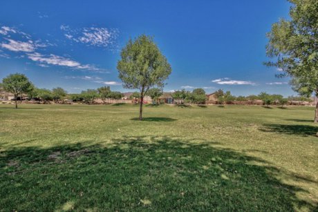 Welcome Waddell Neighbors