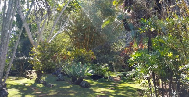 Gardens Tours at Grove Farm Museum