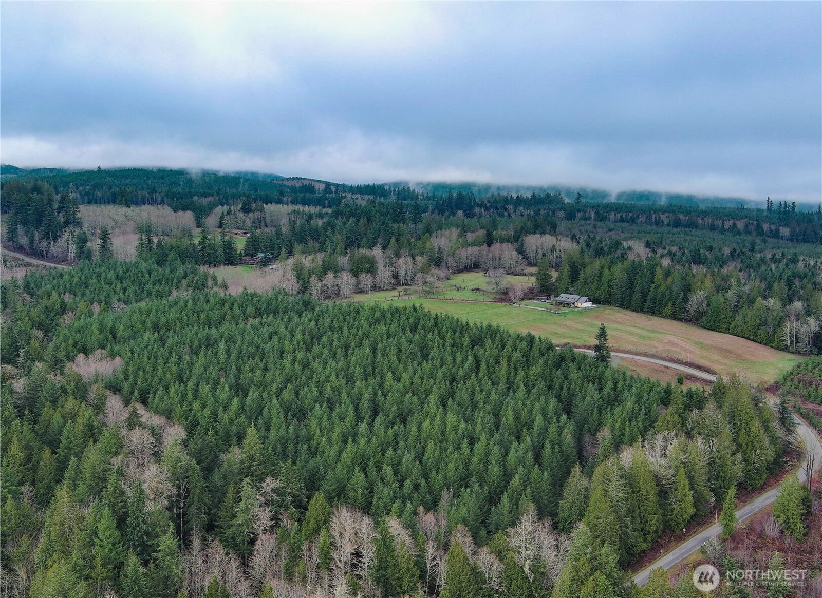 1 xxx Snow Creek Road, Quilcene, WA 98376 | MLS # 2461037 Lake Leland