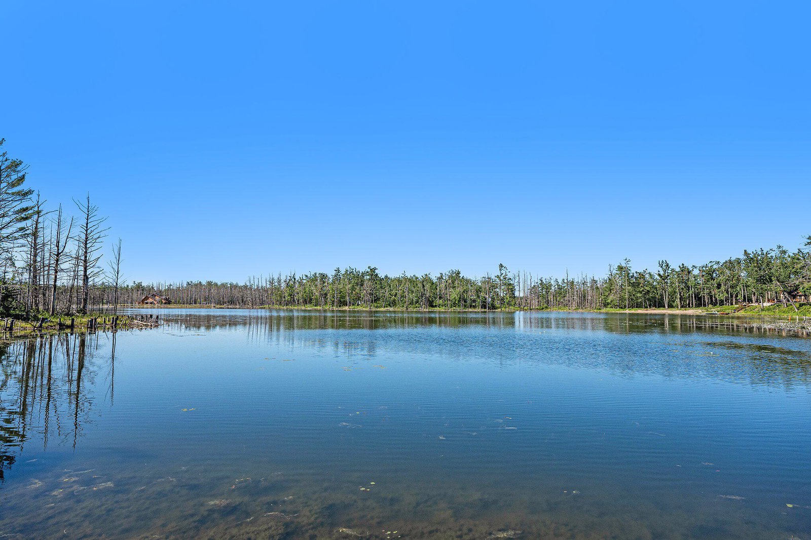 1935 Five Lakes Rd, Gaylord, 49735