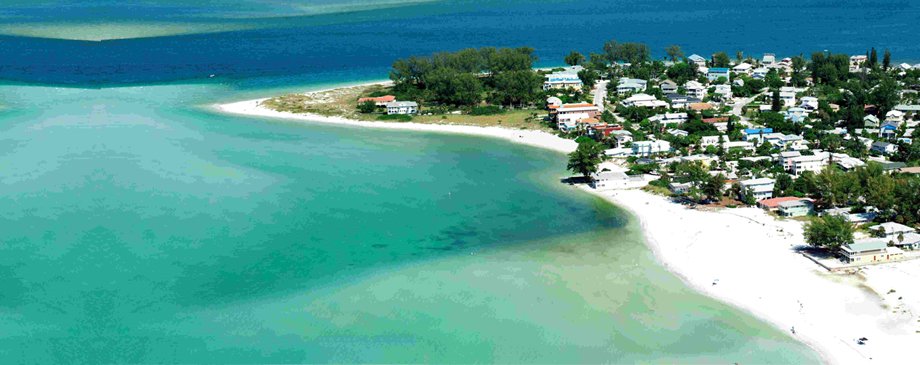 The Art of Shelling on Anna Maria Island