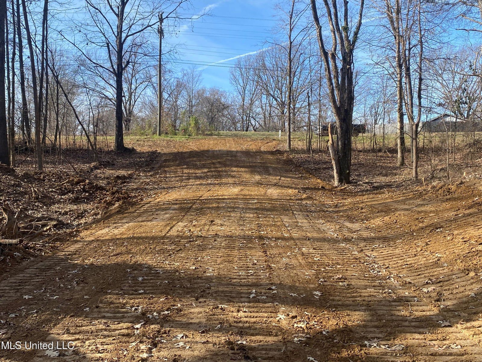 Longtown Road, Sarah, 38665