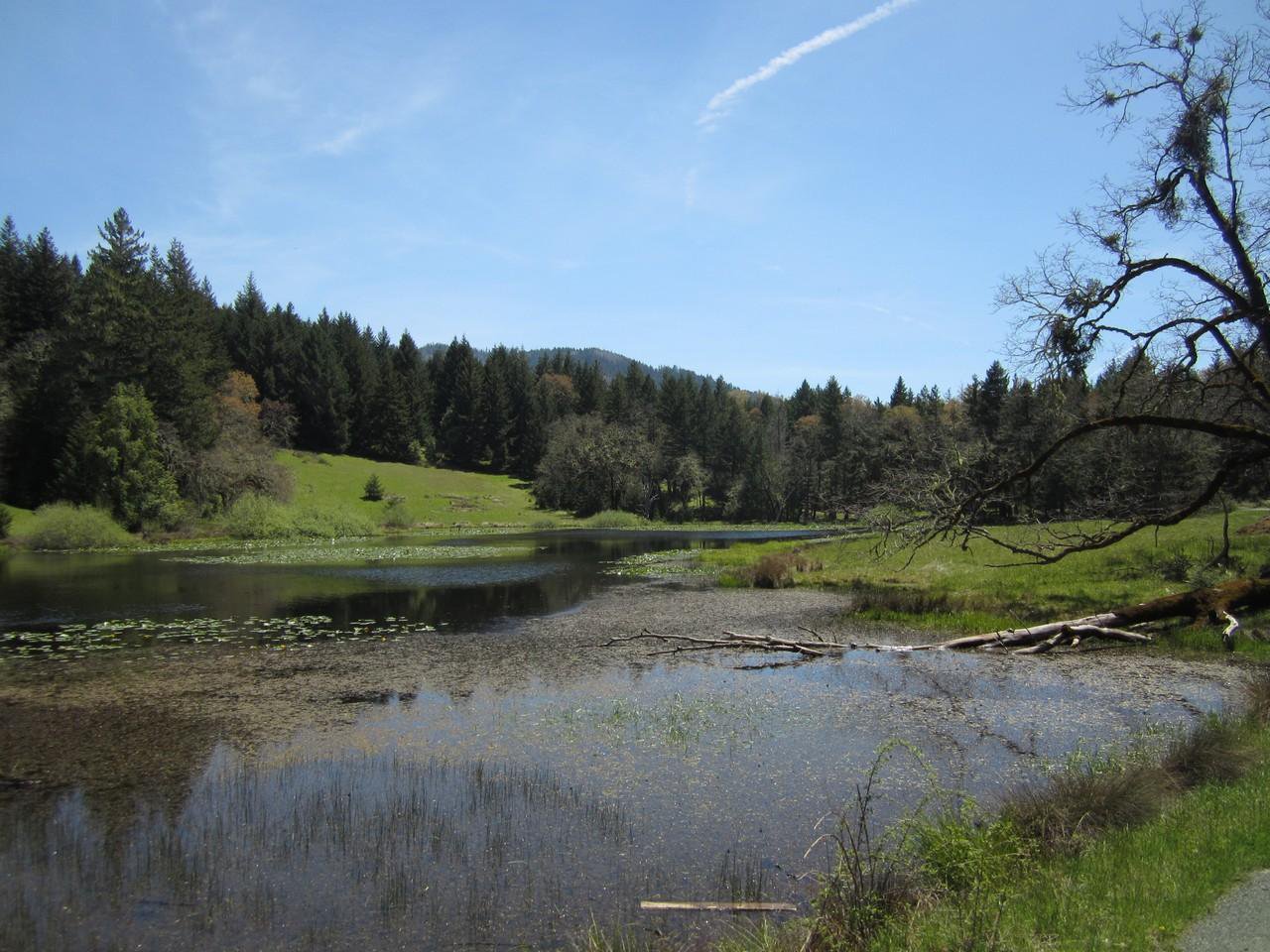 For sale in Blocksburg: 00 Church Street, Blocksburg - Humboldt County ...