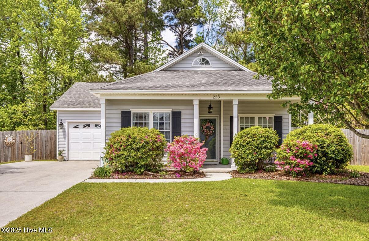 223 Olde Well Loop Road, Wilmington, 28411, 100500811 Wilmington home ...