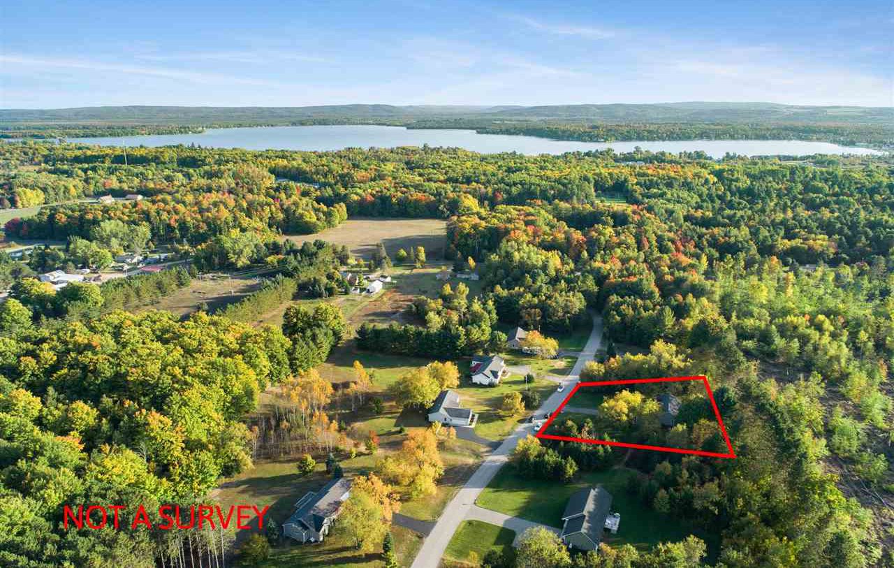 7944 Red Pine Trail, Alanson, 49706