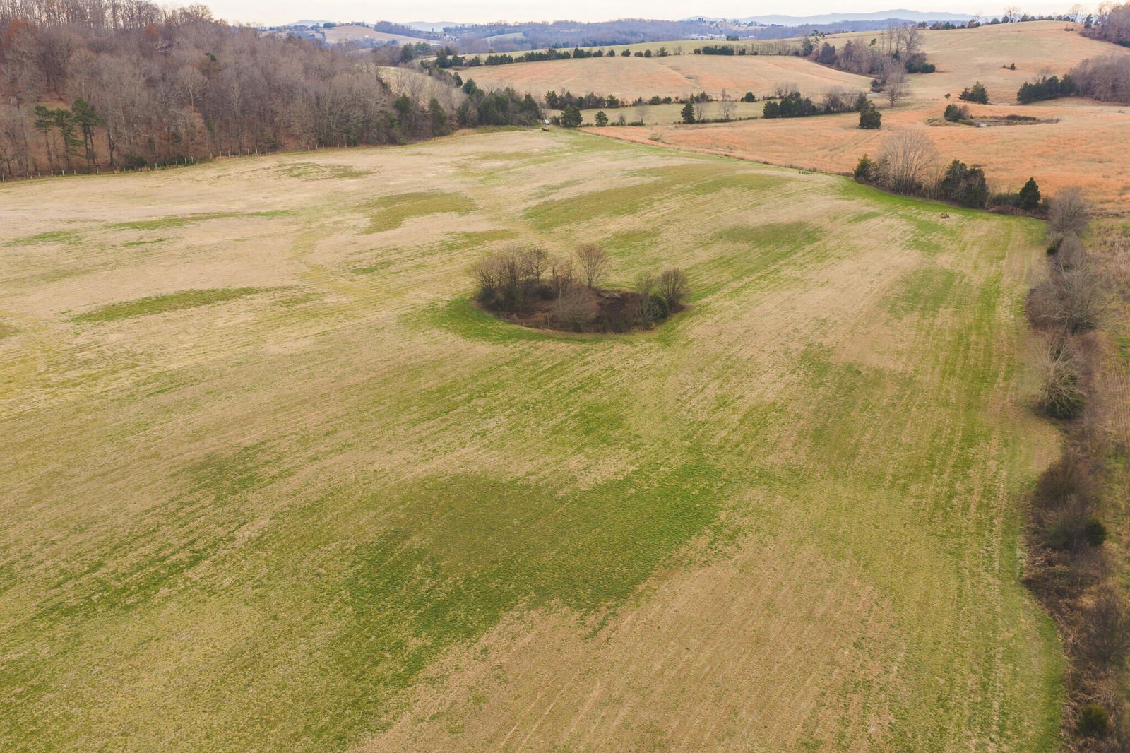 6975 Saint Clair Road, Whitesburg, 37891