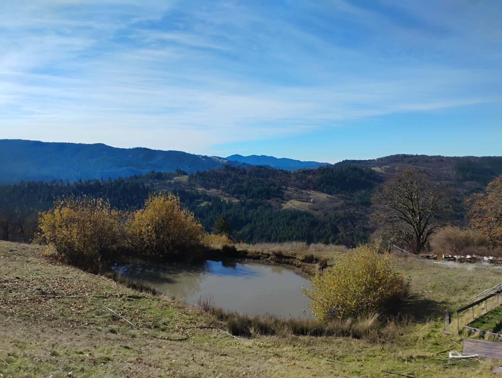 For sale in Dinsmore: 11 Bronco Court, Dinsmore - Humboldt County Real ...