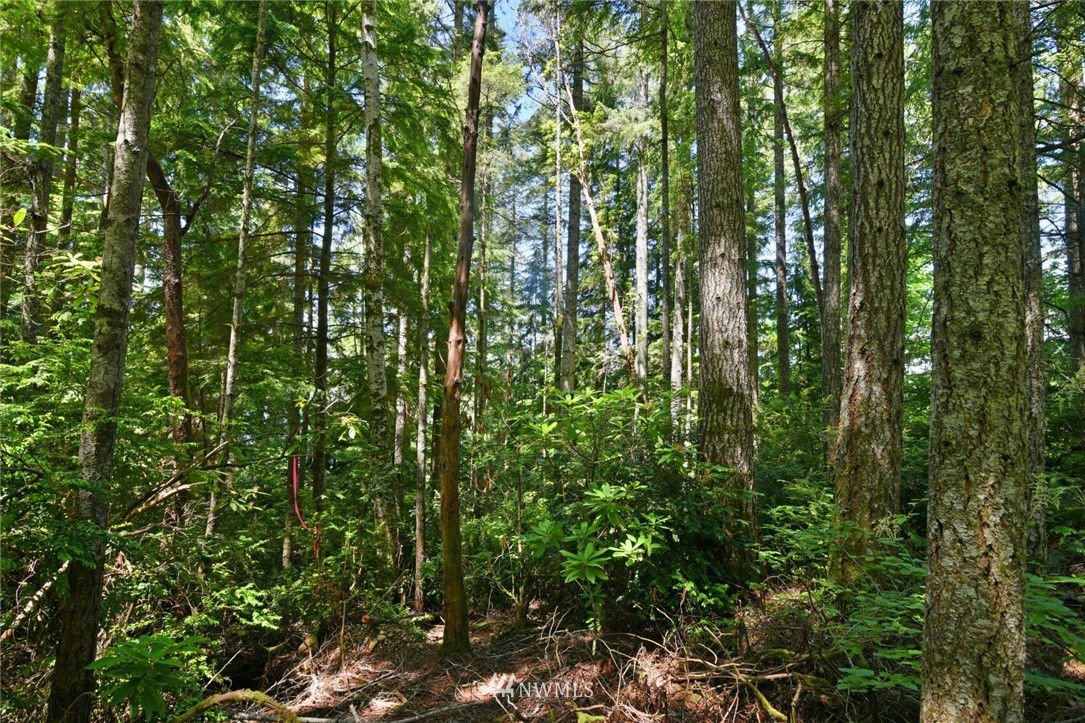 19796 NW Stavis Bay Road, Seabeck, 98380