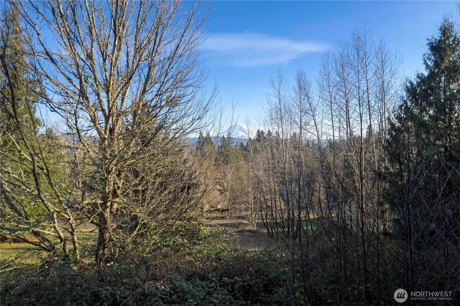 16018 229th Street E, Graham, WA 98338 | MLS # 2464143 The Country The ...