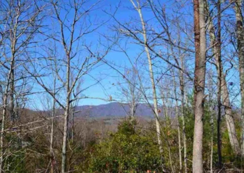 1130 Packs Mountain Ridge Road, Taylors, 29687, 20294979,