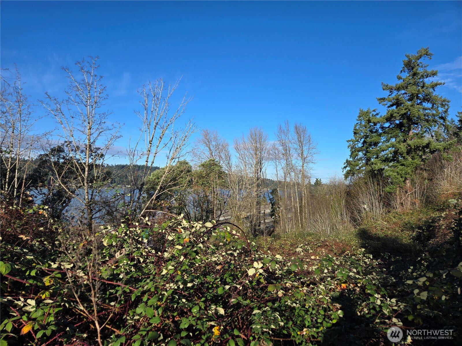 2121 Creswell Rd, Snohomish, WA 98290 | MLS # 2463918 Three Lakes LBR ...