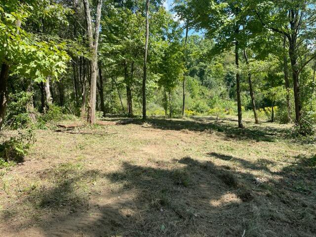 10 Acorn Court, Alexandria, 41001