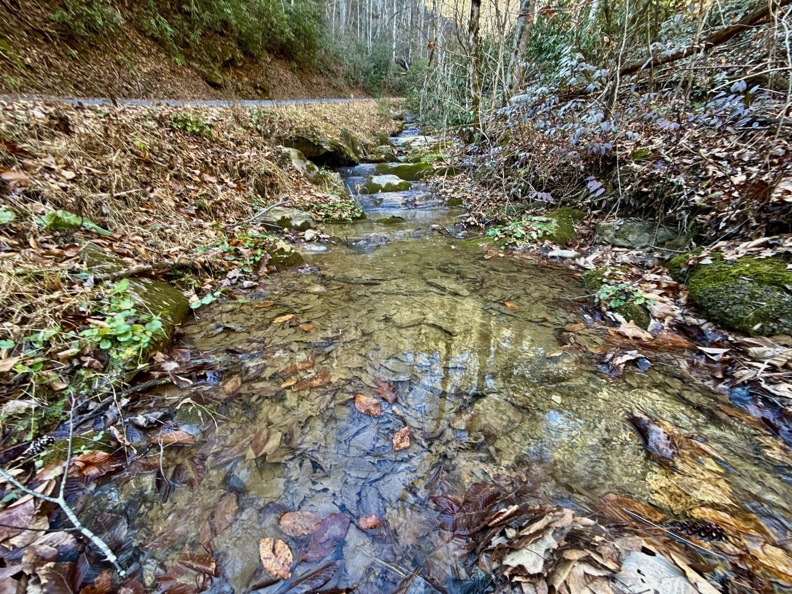 4/Ac Tbd Big Creek Road, Hartford, 37753
