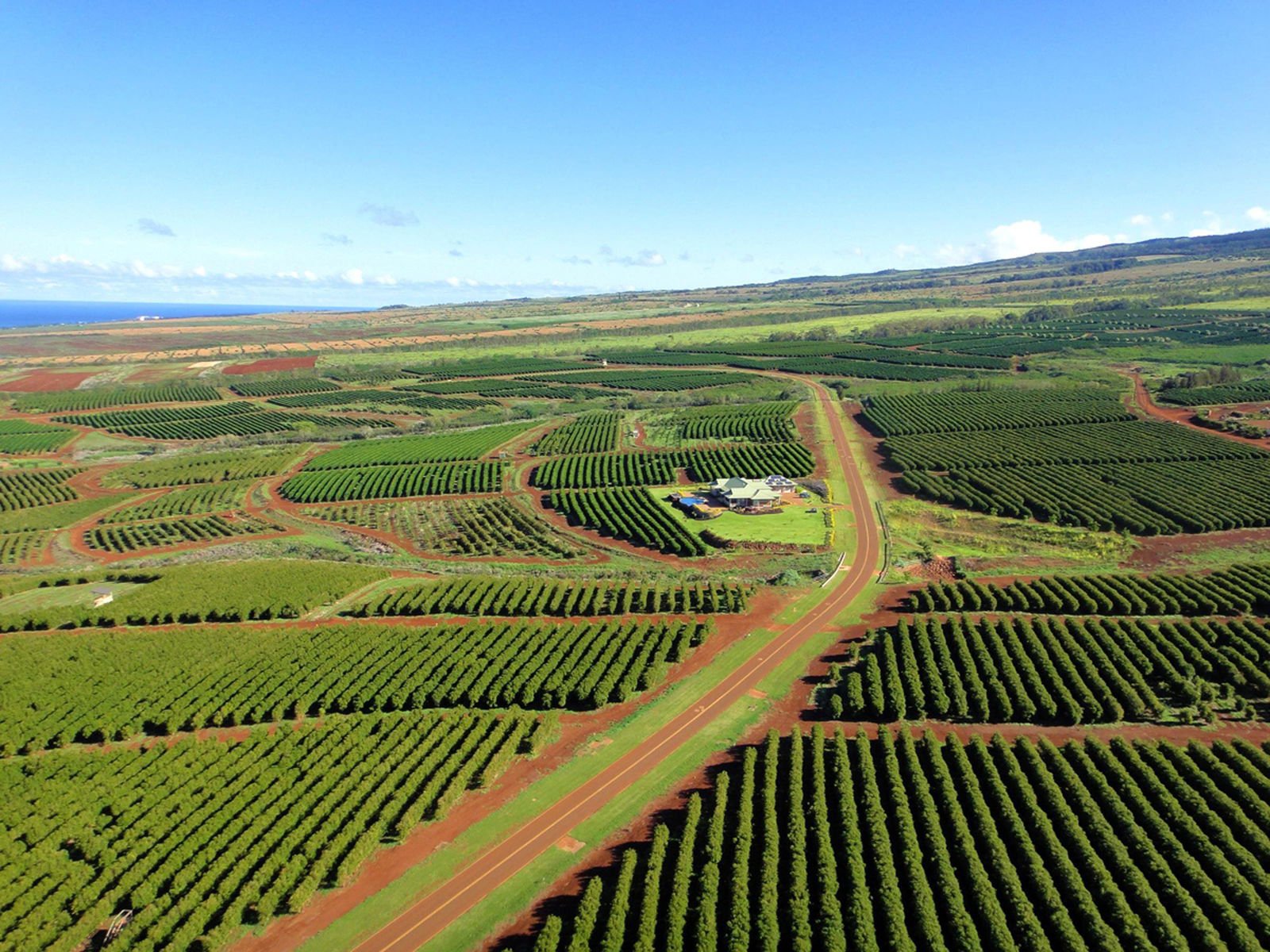 2131 Aina Mahi'ai St Unit 29, Lahaina, 96761