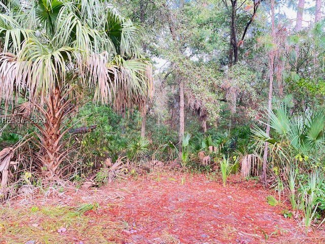 10 Ocean Marsh Court, St Helena Island, 29920,[area],HILTONHEAD-449357,