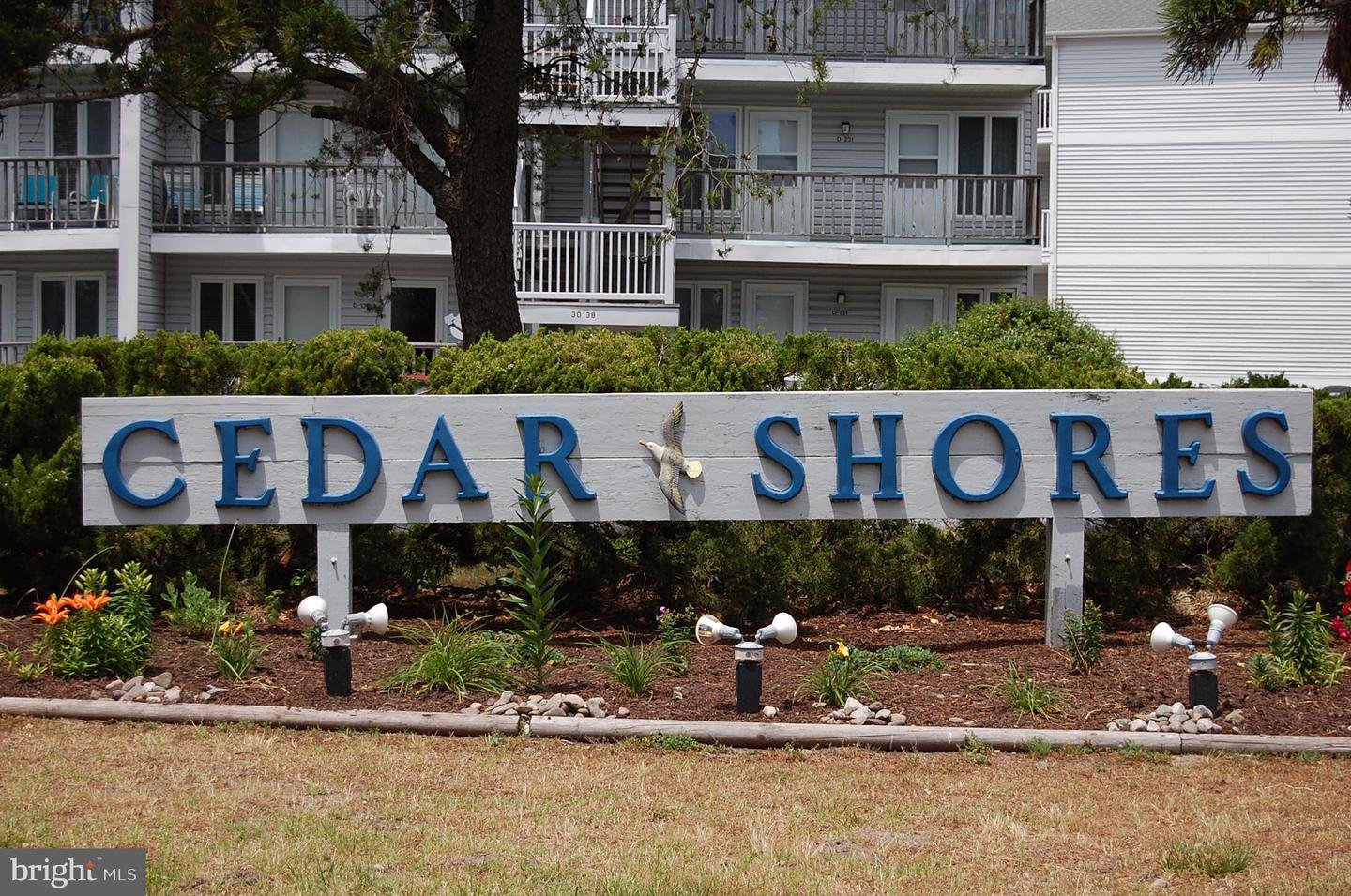 30124 Cedar Shores Road Unit #123, Ocean View DE 19970