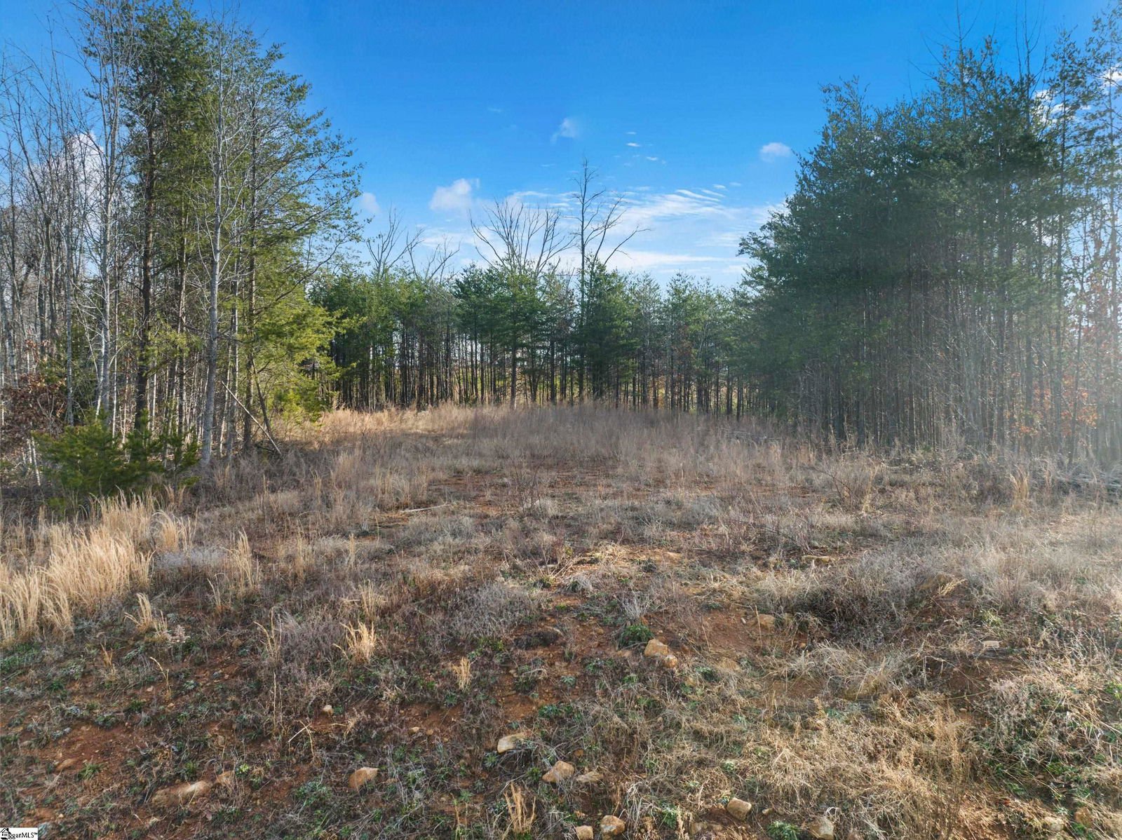 113 Pinelands Place, Travelers Rest, 29690