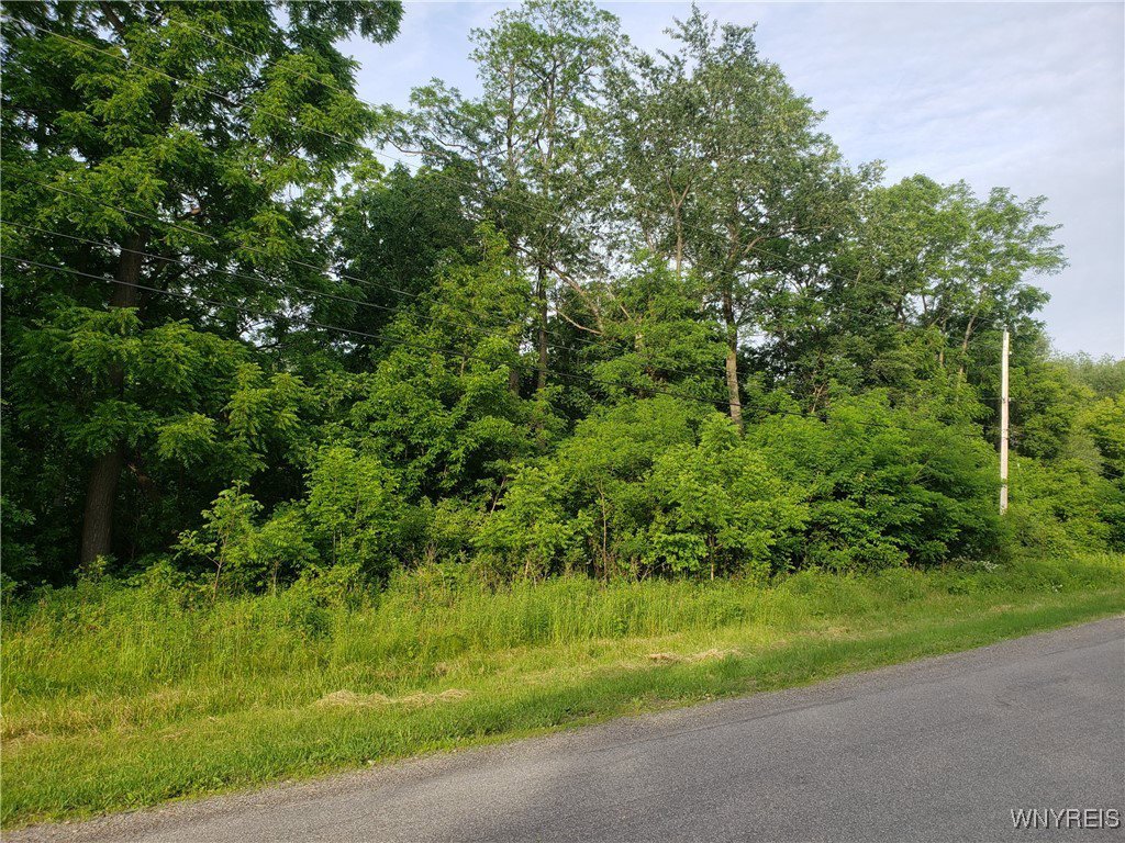3835 Chase Road, Hartland, 14105