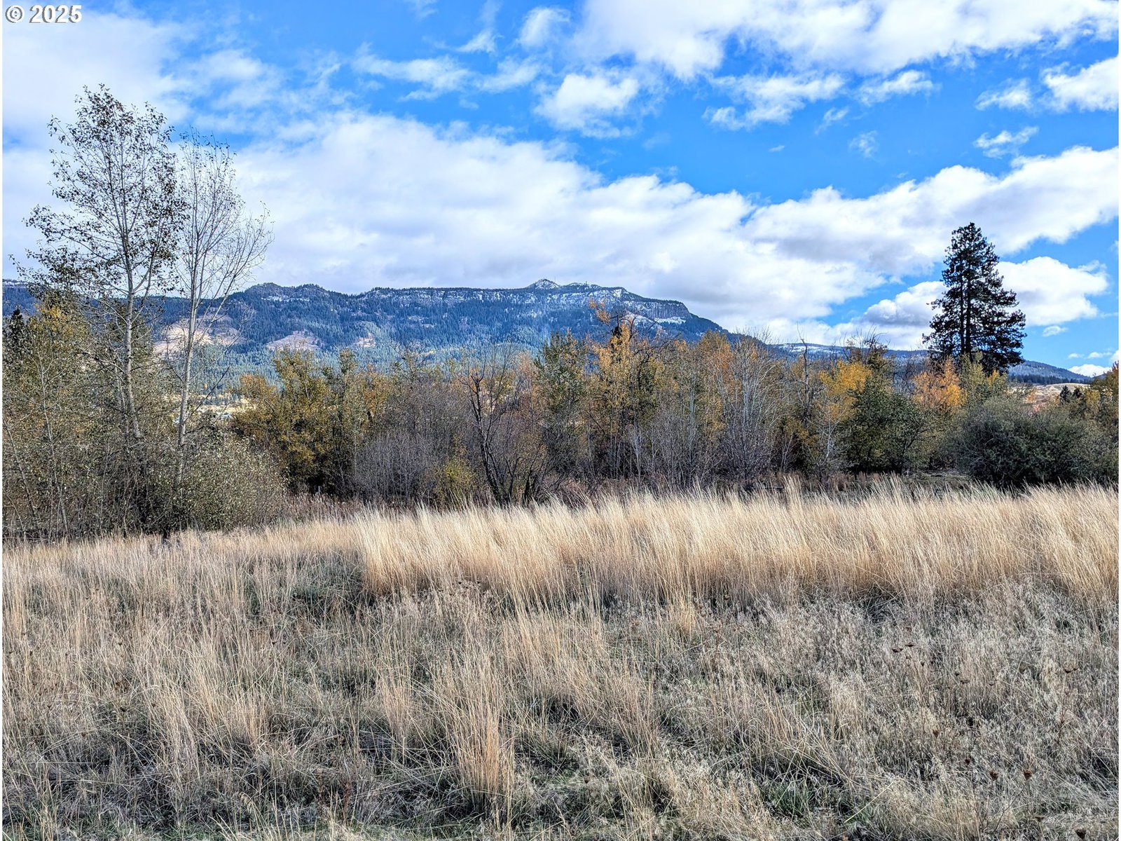 Rose Ridge RD Unit #1, Cove, 97824