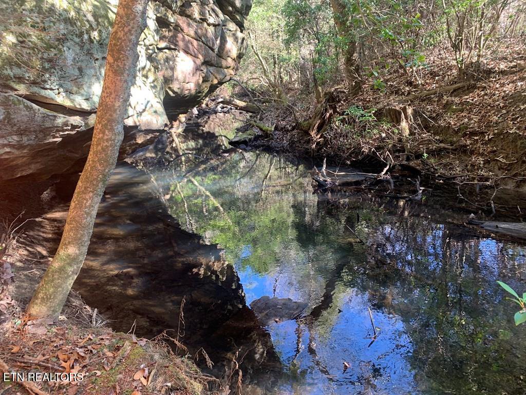 Tract 3 Lone Wolf Trail, Spencer, 38585